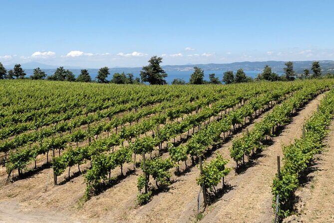 Valle del Lago eBike Tour with Food & Wine Tasting Experience - The Experience and Its Value