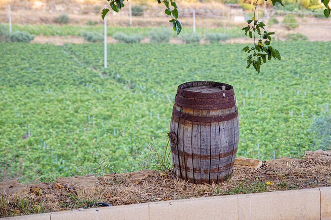 Valle delle Ferle with Wine Tasting and Lunch in Caltagirone - Who Will Love This?