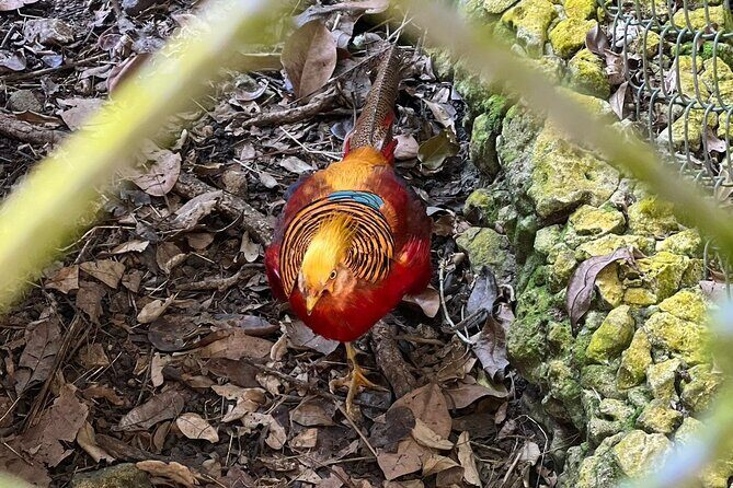 Valle Taino Tropical Park and plantation in Puerto Plata - Practical Details and Tips for Travelers