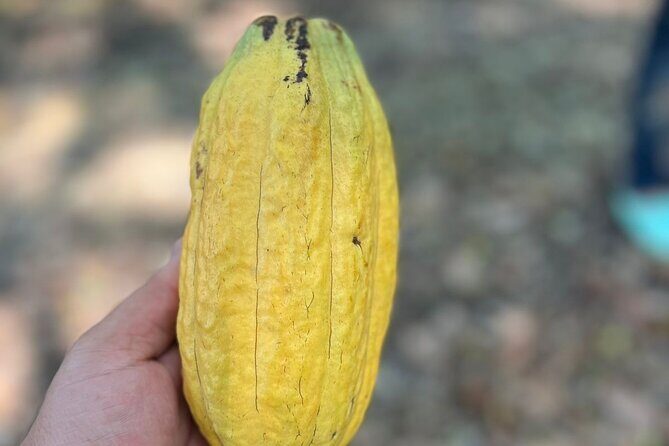 Valle Taino Tropical Park and plantation in Puerto Plata - The Sum Up: A Well-Balanced Taste of Puerto Plata