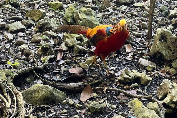 Valle Taino Tropical Park and plantation in Puerto Plata - FAQ