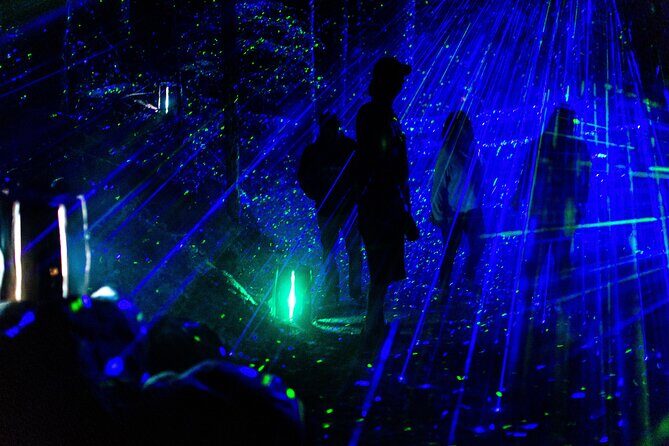 Vallea Lumina Multimedia Evening Experience - Frequently Asked Questions