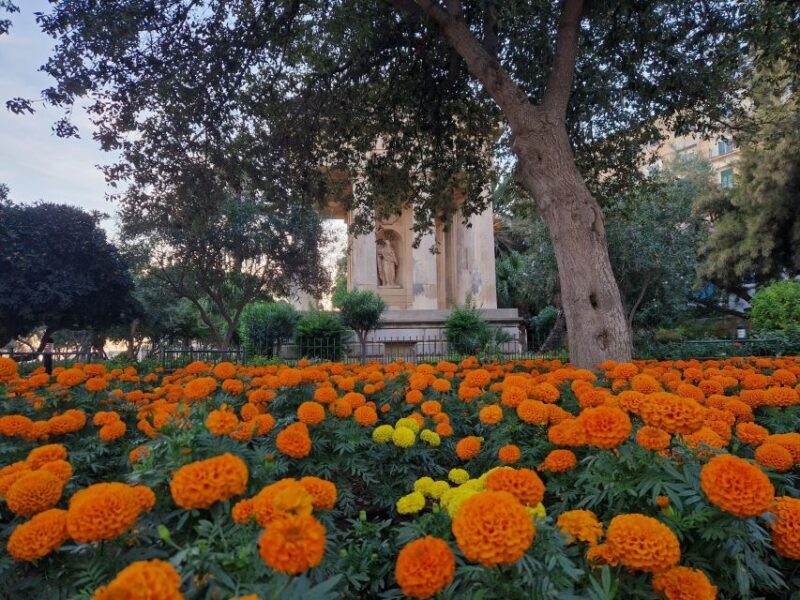 Valletta: City Walking Tour in a Small Group - Key Points
