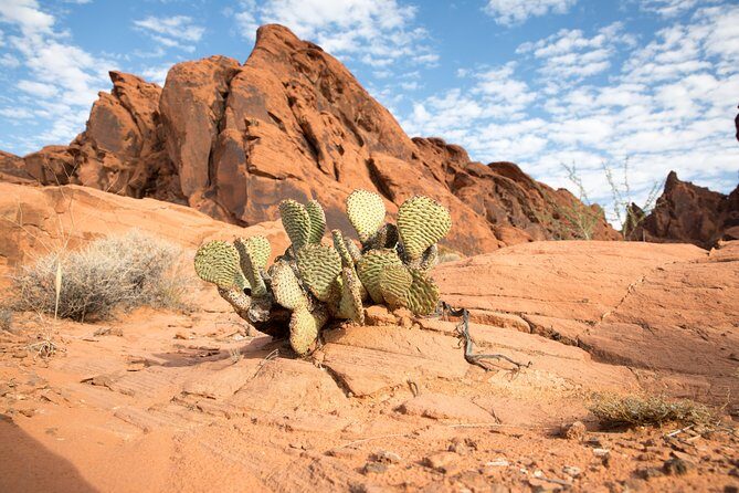Valley of Fire and Lost City Museum Tour from Las Vegas - The Logistics and What It Means for You