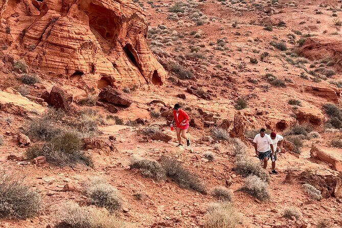 Valley of fire and Mojave Desert Tour from Las Vegas - The Itinerary: What to Expect on the Day Trip