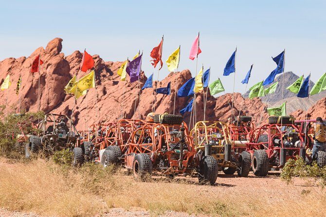 Valley of Fire ATV, RZR, UTV, or Dune Buggy Adventure - The Sum Up: Is This Tour Right for You?