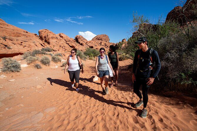 Valley of Fire Guided Hiking Tour and Mojave Desert Adventure - Introduction: Why This Tour Stands Out