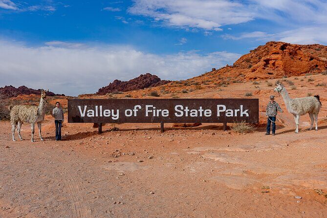 Valley of Fire Llama Hikes - Is This Tour Worth It?