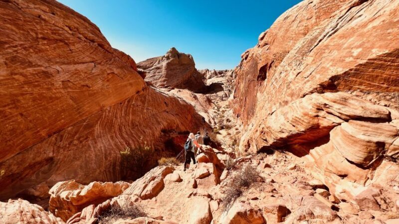 Valley of Fire VIP Small Group Tour From Las Vegas - What’s Included, What’s Not