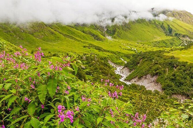 Valley of Flowers and Hemkund Trek- Banbanjara - Introduction: A Closer Look at the Valley of Flowers & Hemkund Trek with BanBanjara