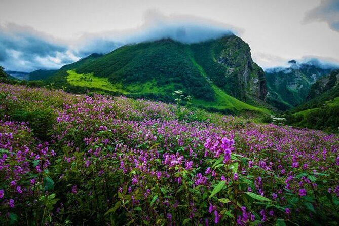 Valley of Flowers and Hemkund Trek- Banbanjara - Key Points