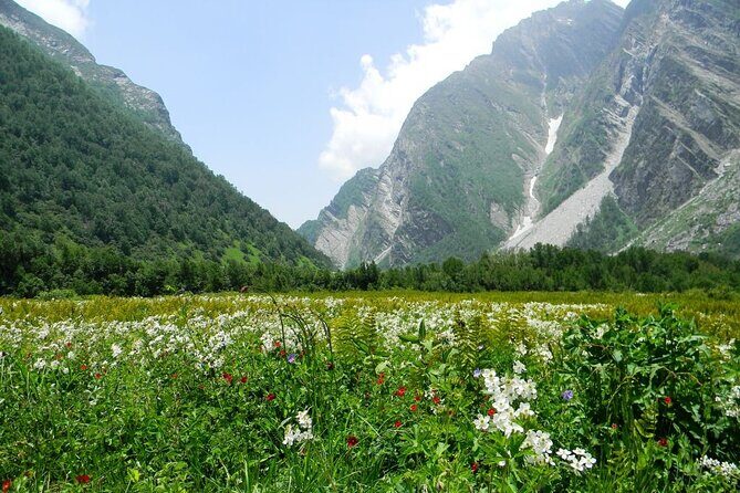 Valley of Flowers - UNESCO World Heritage Site, Uttarakhand - Introduction
