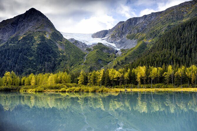 Valley of Glaciers Experience with Portage Glacier Cruise and Wildlife Tour - Top Highlights of the Tour