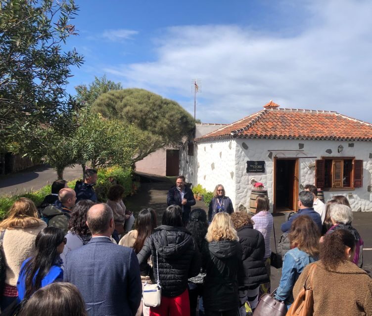 Valley of Tegueste: Wine Tour with Tasting at El Lomo Winery - Key Points