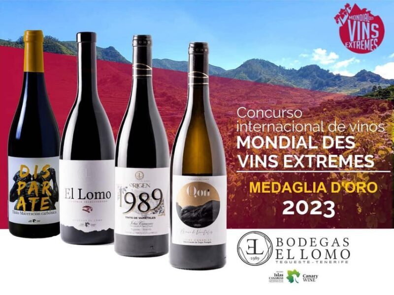 Valley of Tegueste: Wine Tour with Tasting at El Lomo Winery - A Closer Look at the Tour Experience