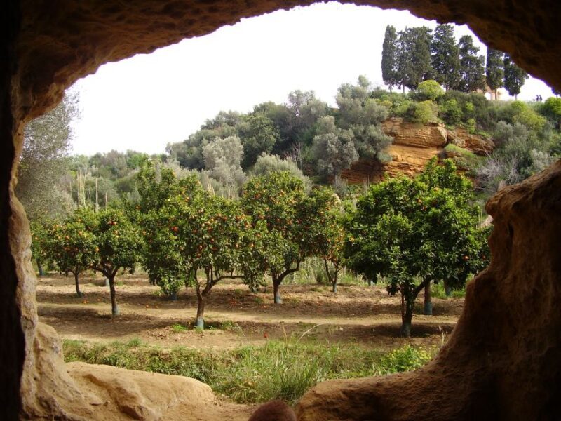 Valley of the Temples: Kolymbethra Garden Entry Ticket - A Deep Dive into the Experience