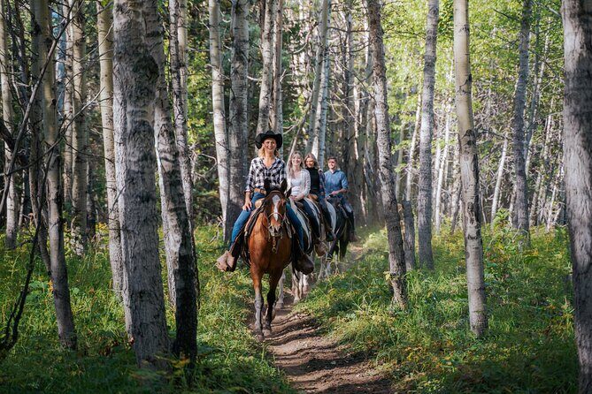 Valley Vista 1.5 Hour Horseback Trail Ride in Kananaskis - Final Thoughts: Who Will Love This Tour?