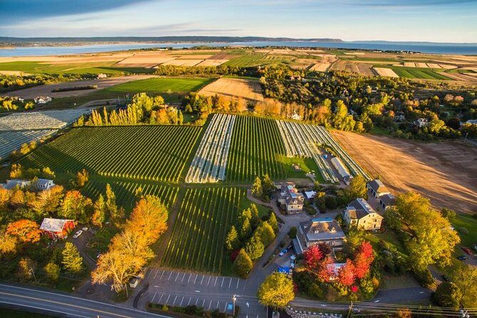 Valley Wine Tour. You will buy your own wine and meals. - Key Points