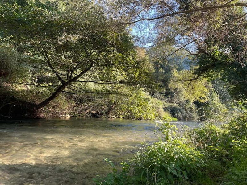 Valnerina: Fly Fishing Day with Guide - The Value of This Experience