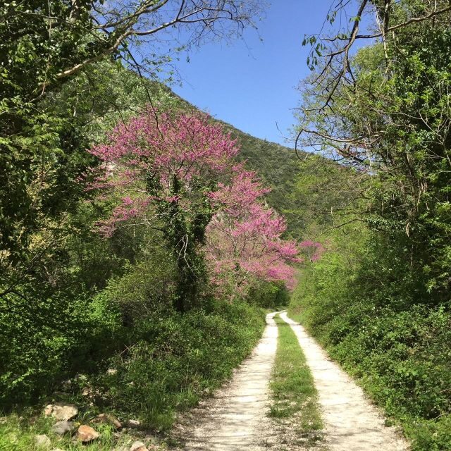 Valnerina: Fly Fishing Day with Guide - FAQs