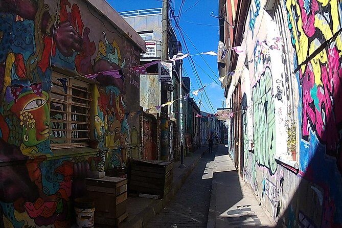 Valparaiso & Viña Del Mar, Museum & Lunch FROM STGO. Private Tour - Who Would Enjoy This Tour?