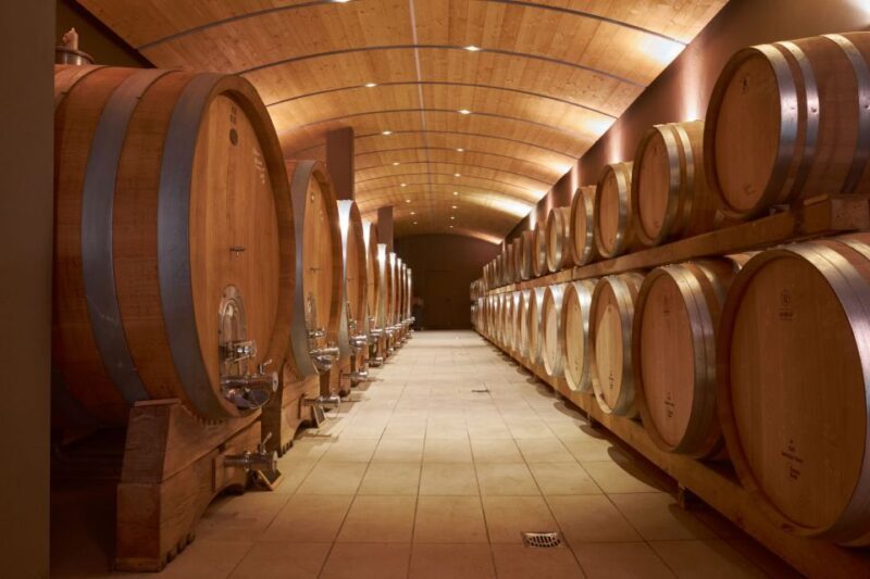 Valpolicella: Amarone Experience with Cantina Visit - Key Points