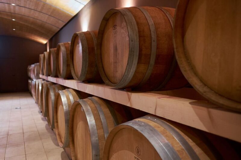 Valpolicella: Amarone Experience with Cantina Visit - A Closer Look at the Experience