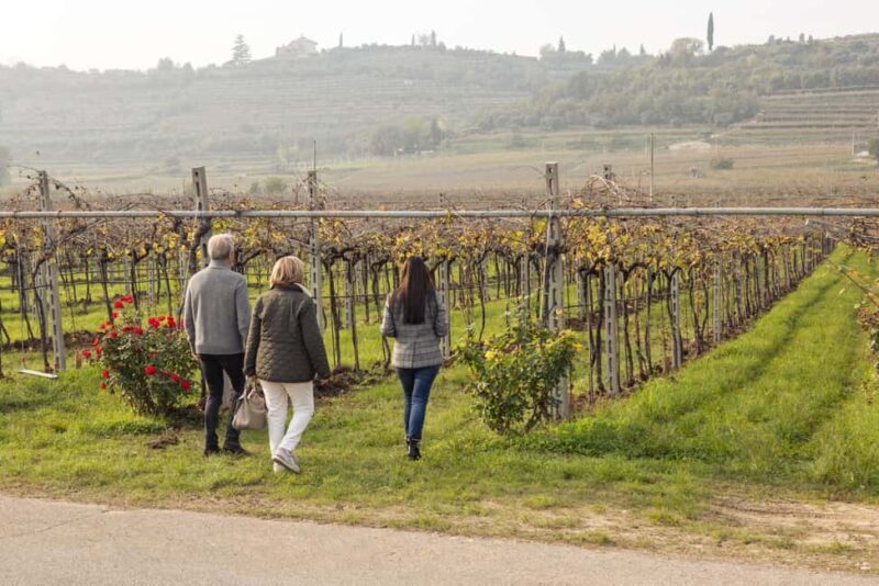 VALPOLICELLA: DISCOVER IT IN 5 GLASSES - The Sum Up