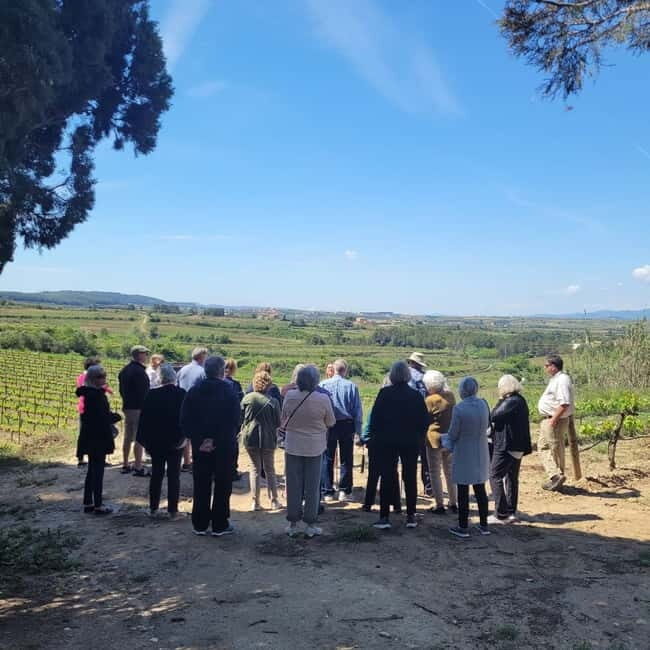 Valpolicella: Guided Wine Tour with Tastings of Local Wines - Exploring the Valpolicella Wine Tour: A Genuine Taste of Veneto