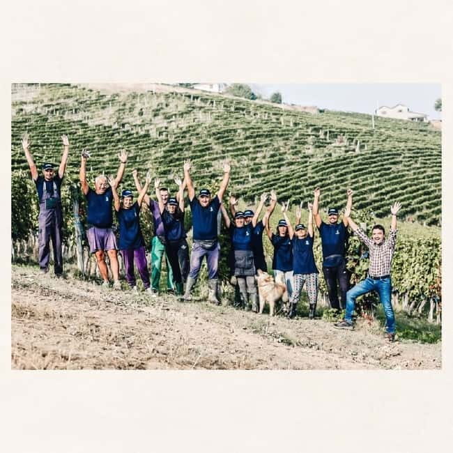 Valpolicella: Guided Wine Tour with Tastings of Local Wines - Key Points