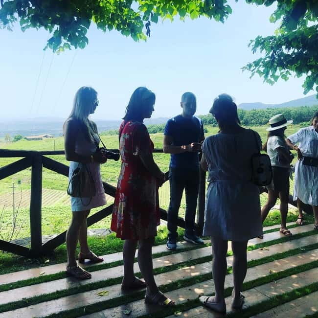 Valpolicella: Guided Wine Tour with Tastings of Local Wines - Who Will Love This Tour?