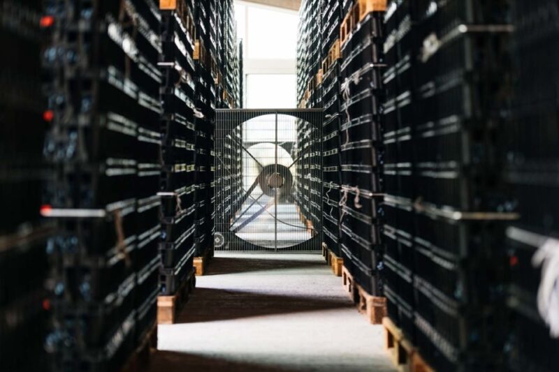 Valpolicella: Lunch or Dinner tasting with Amarone - An In-Depth Look at the Experience