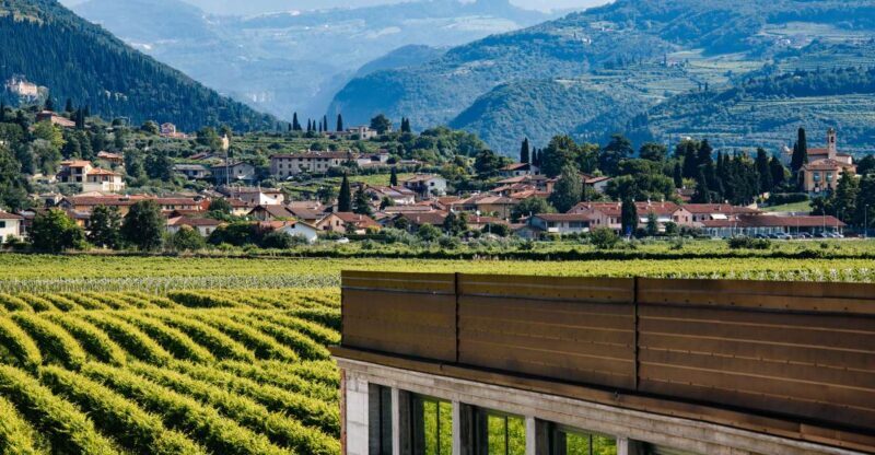 Valpolicella: Lunch or Dinner tasting with Amarone - Who Should Book This Experience?