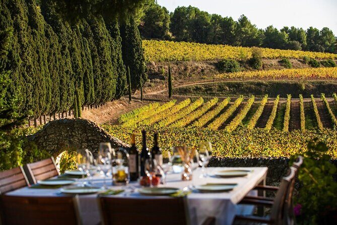 Valpolicella Wine and Olive Oil Tasting with Lunch from Verona - Final Thoughts