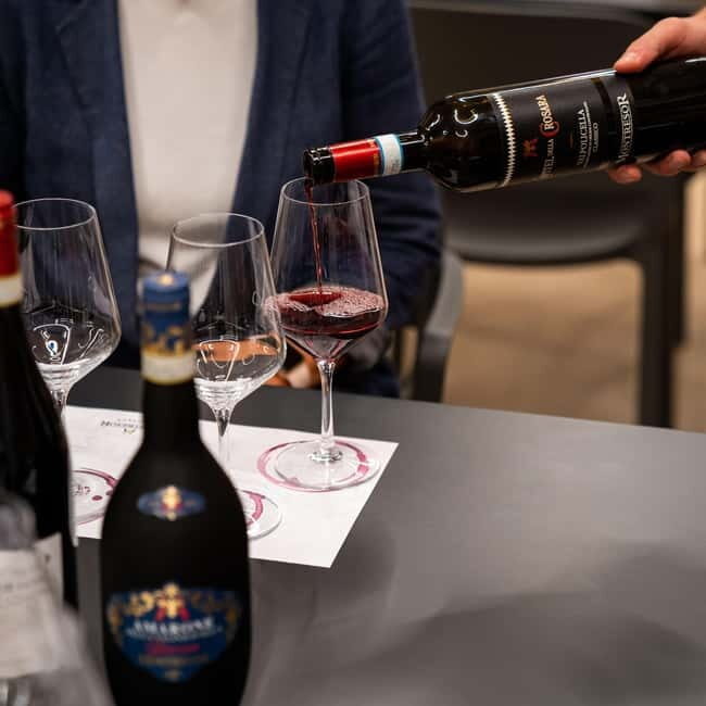 Valpolicella Wine Museum: E-bike rental with App and Tasting - Discovering the Verona Countryside on Two Wheels