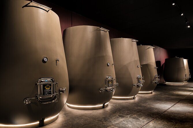 Valpolicella Wine Tasting Experience & Light Lunch - Final Thoughts: Is It Worth It?