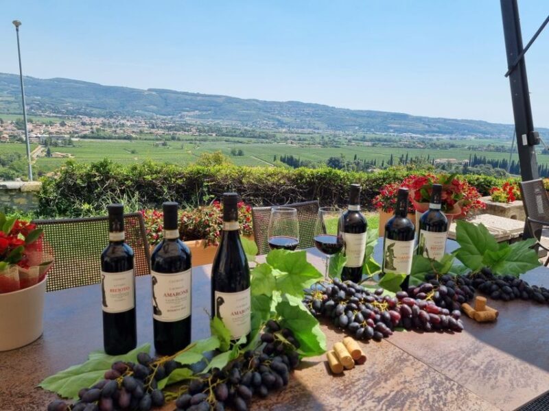 Valpolicella: wine tasting on a spectacular terrace - The Sum Up