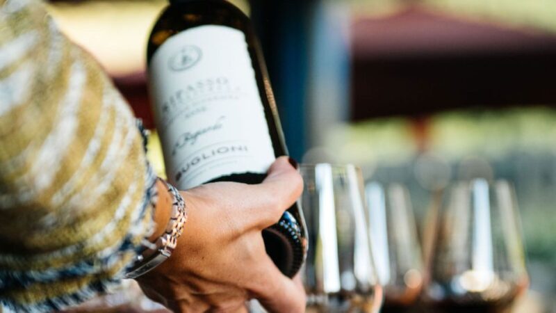 Valpolicella: Winery Tour with Red Wine&Cicchetti tasting - Possible Drawbacks or Considerations