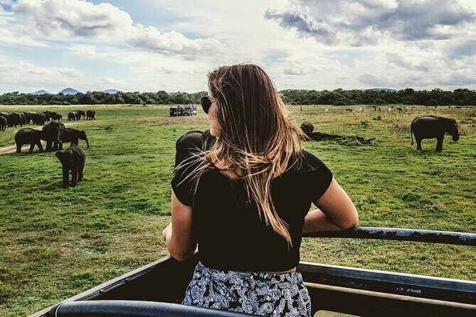 VALUE PACK! One Day Safari Tour to Yala and Udawalawa Parks - FAQ