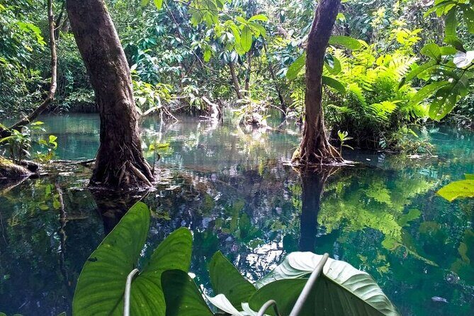 Vam Sat Mangrove Forest - VIP Private Tour from Ho Chi Minh City - Wildlife & Conservation in Focus