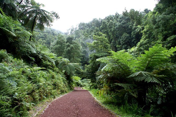 Van Tour Sete Cidades + Lagoa do Fogo Full-Day - Practical Information & Tips