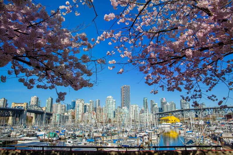 Vancouver: 24 or 48-Hour Hop-On Hop-Off Trolley Tour Pass - Route Breakdown and Highlights