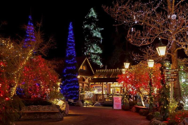 Vancouver and Capilano Suspension Bridge Canyon Lights - Scenic Drive to the North Shore and Iconic Bridges
