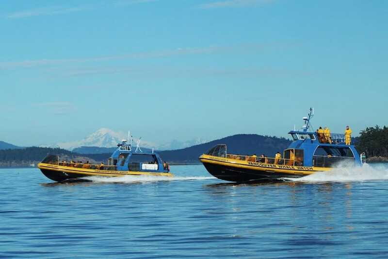 Vancouver, BC: Whale Watching Tour with Guide - FAQ