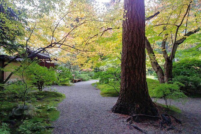 Vancouver Botanical Gardens & Museum Private Explorer - What Makes This Tour Stand Out