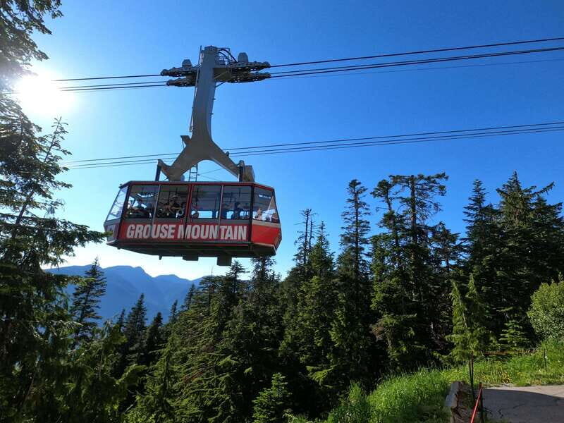 Vancouver: Capilano Bridge, Cleveland Dam & Lynn Canyon Tour - Who Will Love This Tour?