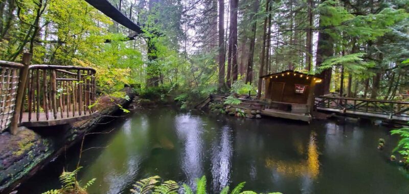 Vancouver: Capilano Bridge, Cleveland Dam & Lynn Canyon Tour - Frequently Asked Questions