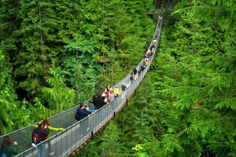 Vancouver: Capilano Bridge & Granville Island Highlights - Authentic Traveler Experiences