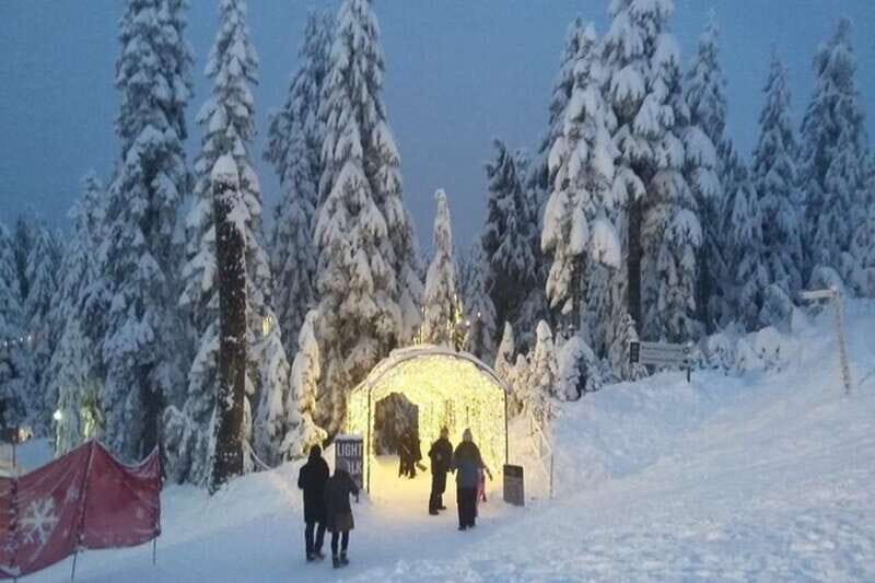 Vancouver Capilano Canyon light&peak of Christmas in Grouse - Exploring the Tour Experience: What You Can Expect