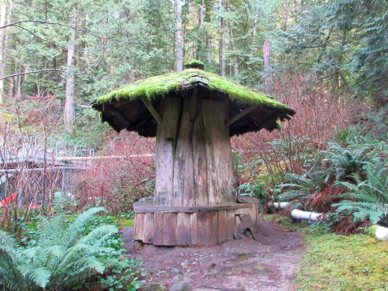 Vancouver: Capilano River Hatchery Love the Land Tour - A Detailed Look at the Tour Experience